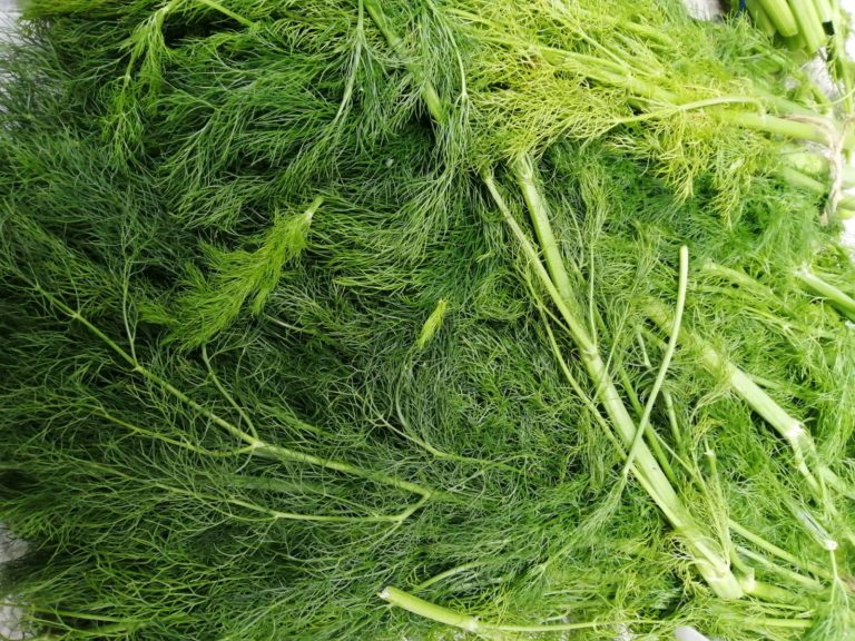 Farfoucha, il cous cous tunisino con le foglie di finocchio ...